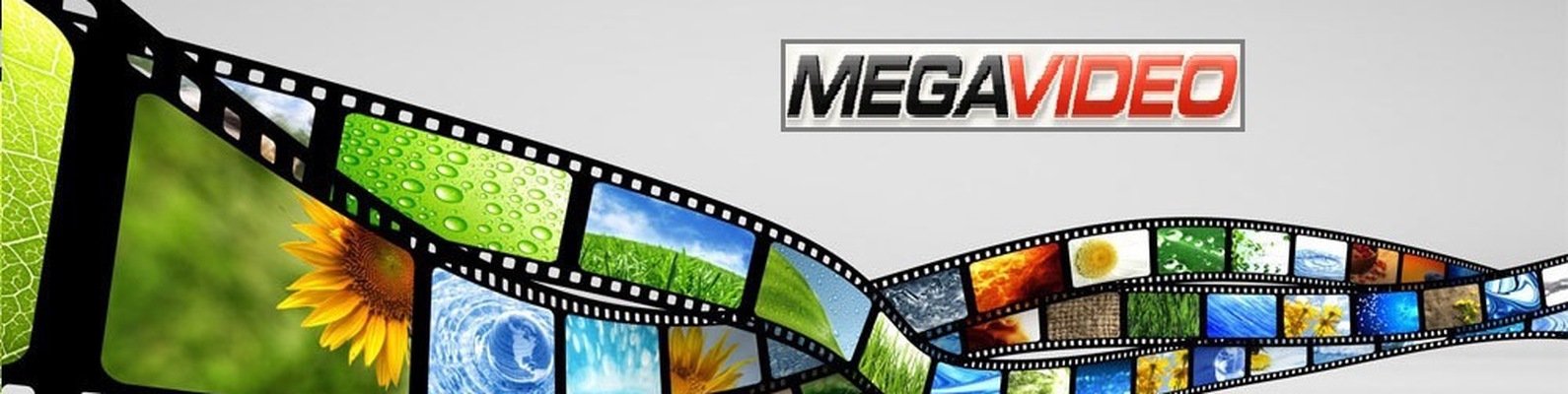 MegaVideo | Интересные, невероятные и удивительные видео 2024 | ВКонтакте